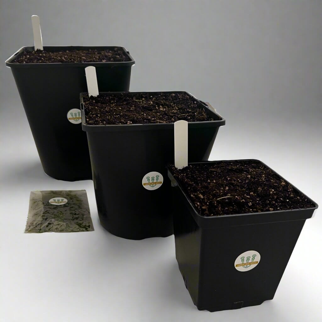 Carnivorous Plant Potting Up Kit - Soil, Pot & Label