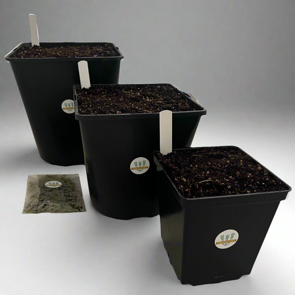 Carnivorous Plant Potting Up Kit - Soil, Pot & Label